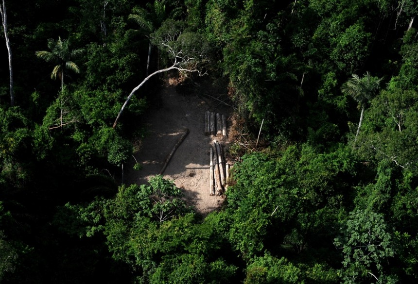 Egypt explores investment opportunities in Petrified Forest - Daily ...